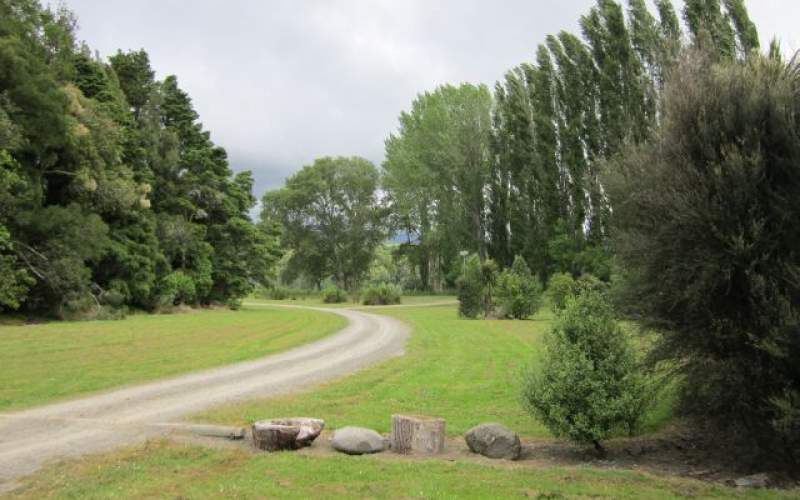 Totara Reserve Regional Park | Freedom/Basic Camp | New Zealand